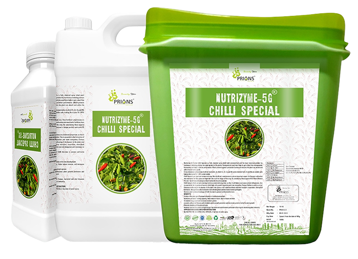 Nurturing Spice Crops: Exploring Plant Growth Promoters