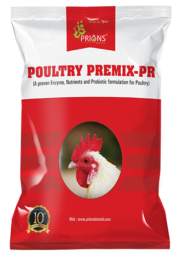 Role of Poultry Products Manufacturers in Enhancing Poultry Health
