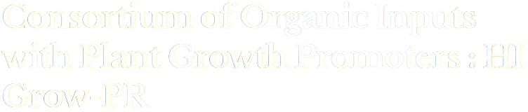 Prions Biotech Plant Growth Promoter with Consortium